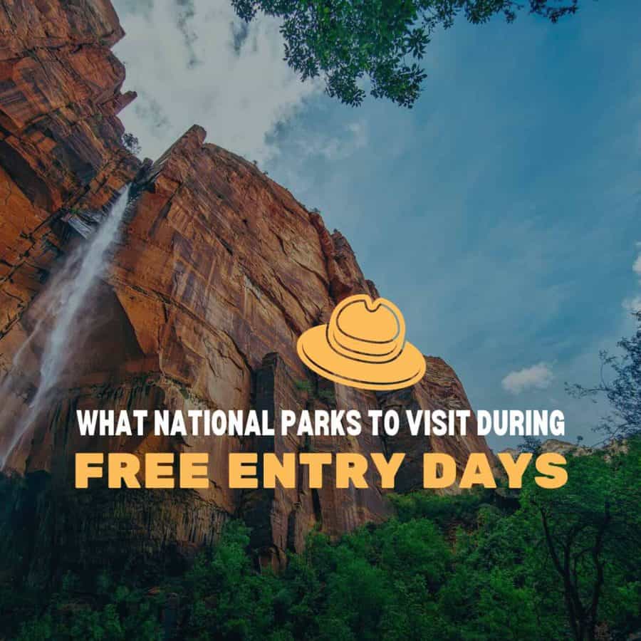 7 Must See Places For Reptile Lovers In The US • Escape Monthly