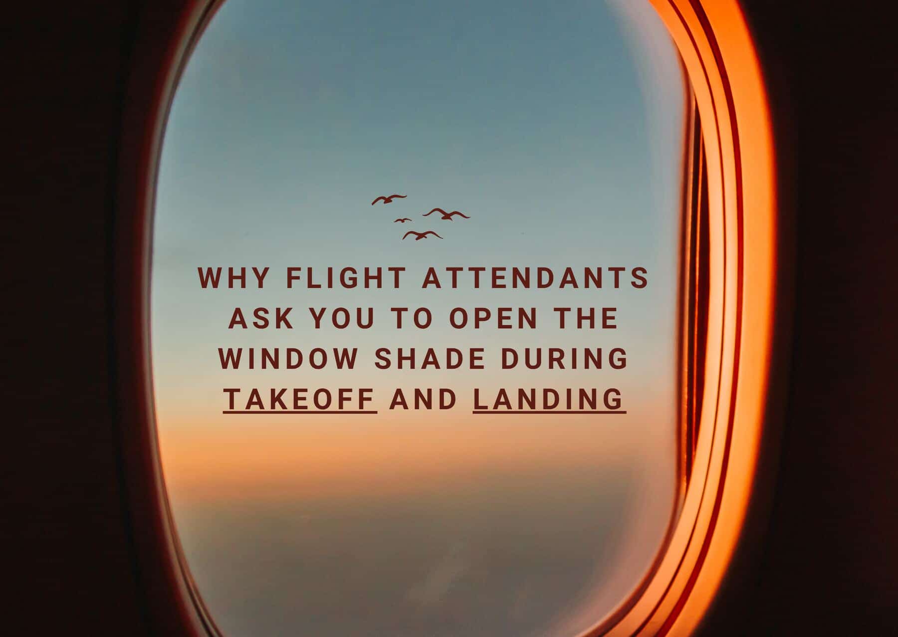Why Flight Attendants Make You Open Window Shades During Takeoff and ...